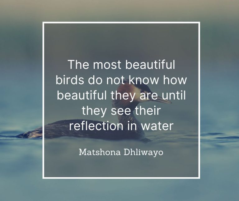 20+ Water Reflection Quotes that will Inspire You - TaskMag
